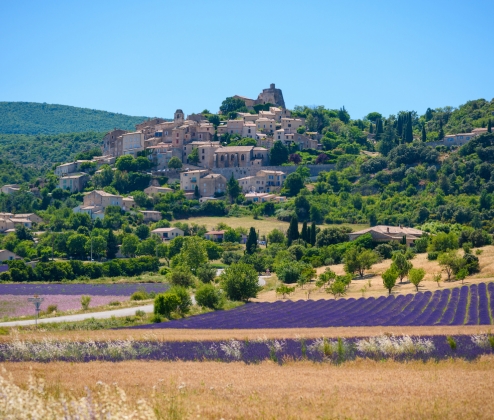 Mixed Wine Cases - Wine Case Deals | Stone, Vine & Sun